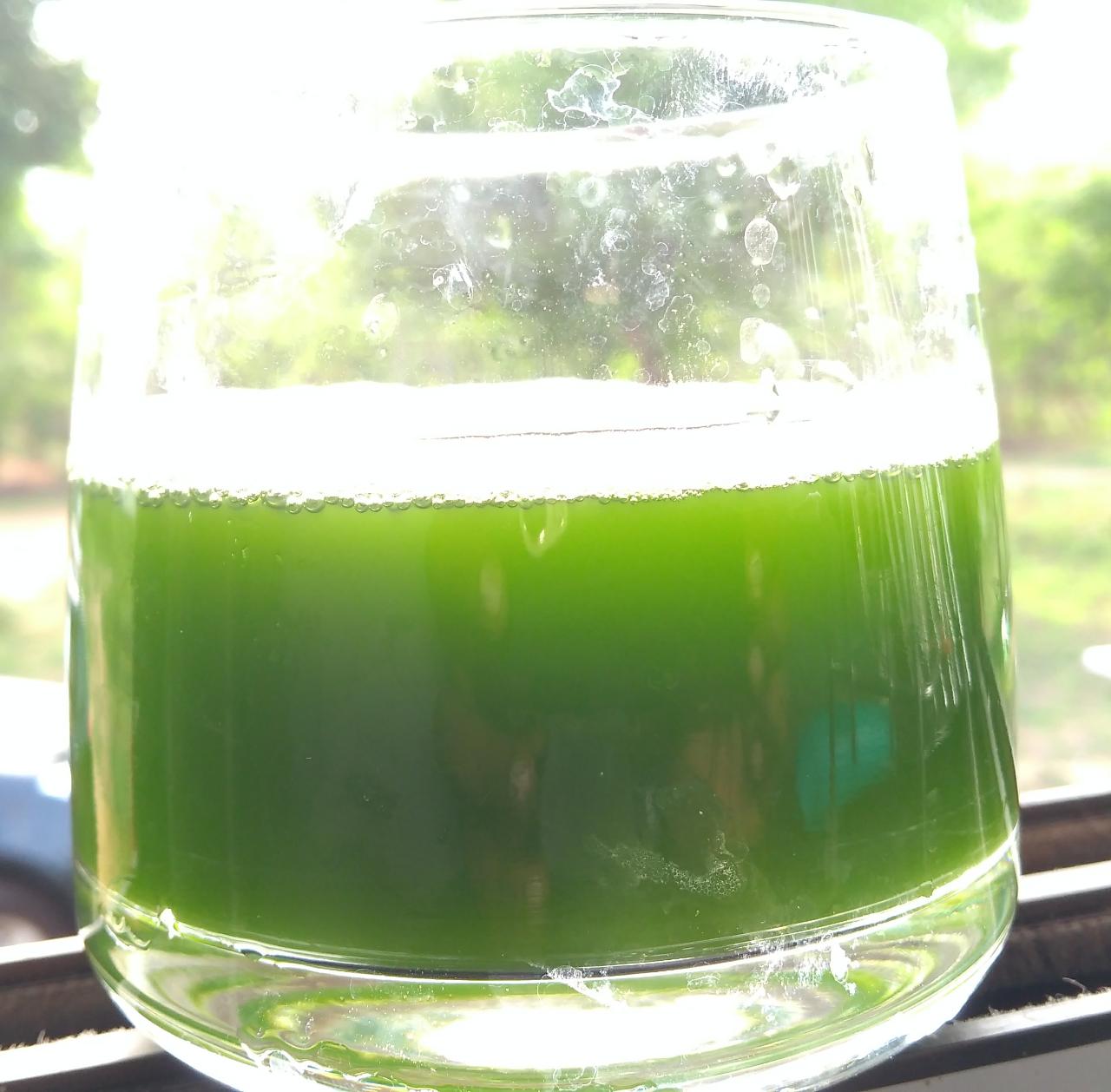 Recipes - Akarma.Life